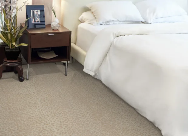 The Best Paradiso and Doma Carpet Styles